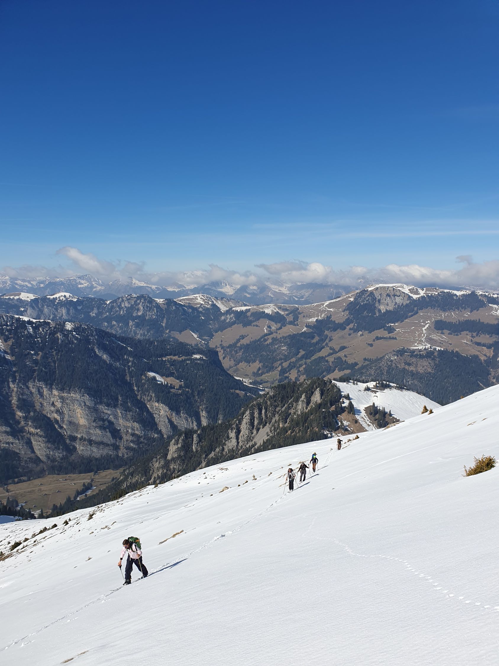 Wiriehorn (2304m): Aktuelle Verhältnisse vom 04.03.2023 auf der Route ...