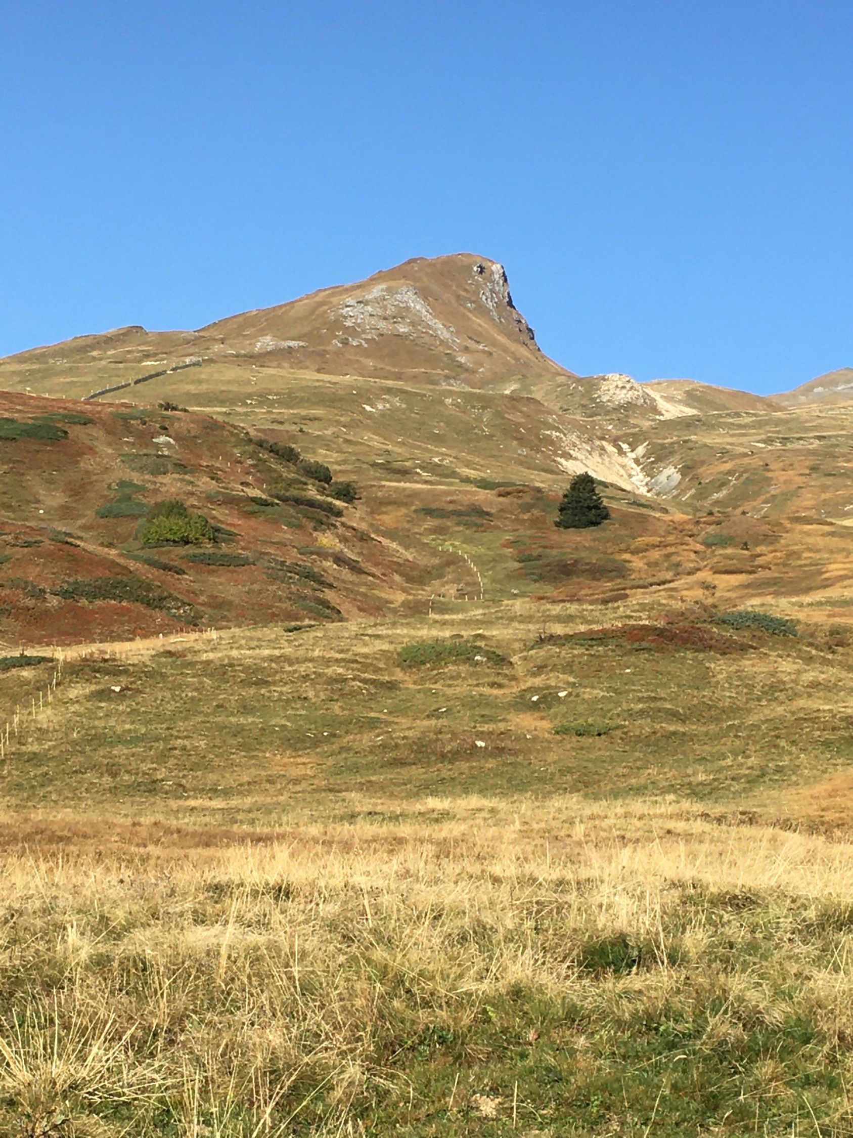 Crest‘Ota 2496m - www.gipfelbuch.ch