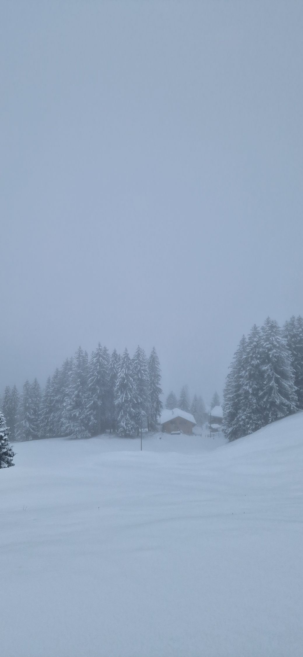 Metschhore (2229m): Aktuelle Verhältnisse vom 14.12.2023 auf der Route ...