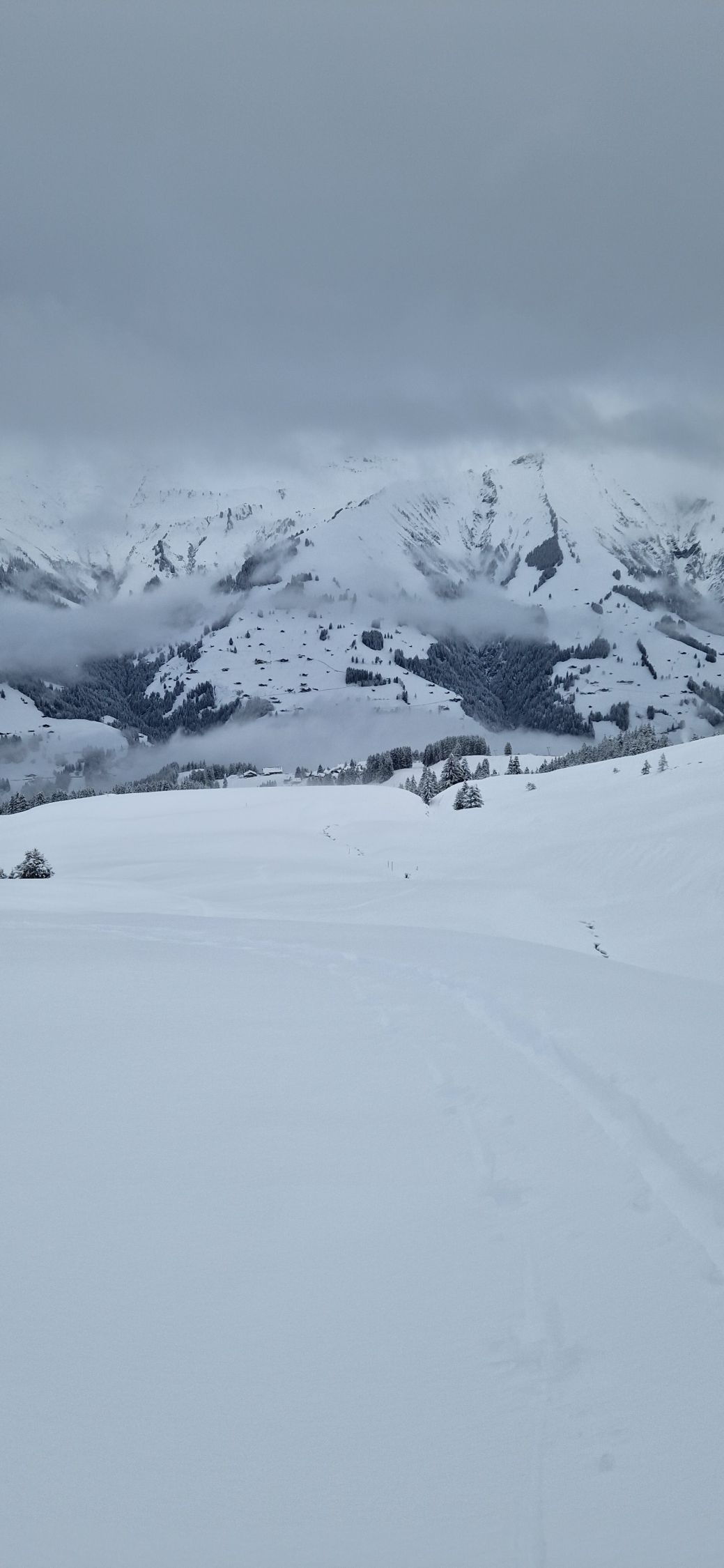 Metschhore (2229m): Aktuelle Verhältnisse vom 14.12.2023 auf der Route ...