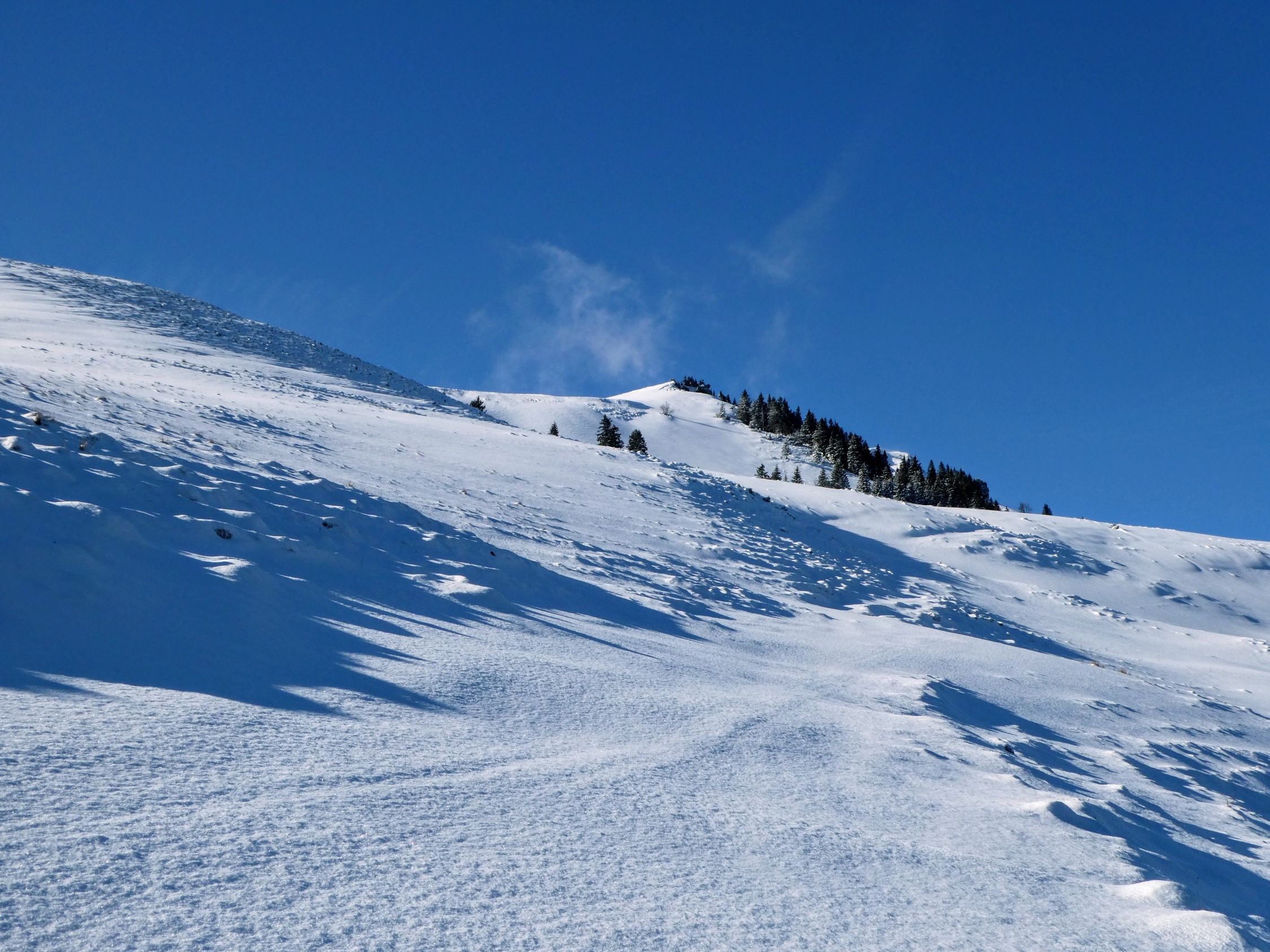 Kamor (1751m): Aktuelle Verhältnisse vom 25.03.2024 auf der Route: Ab ...