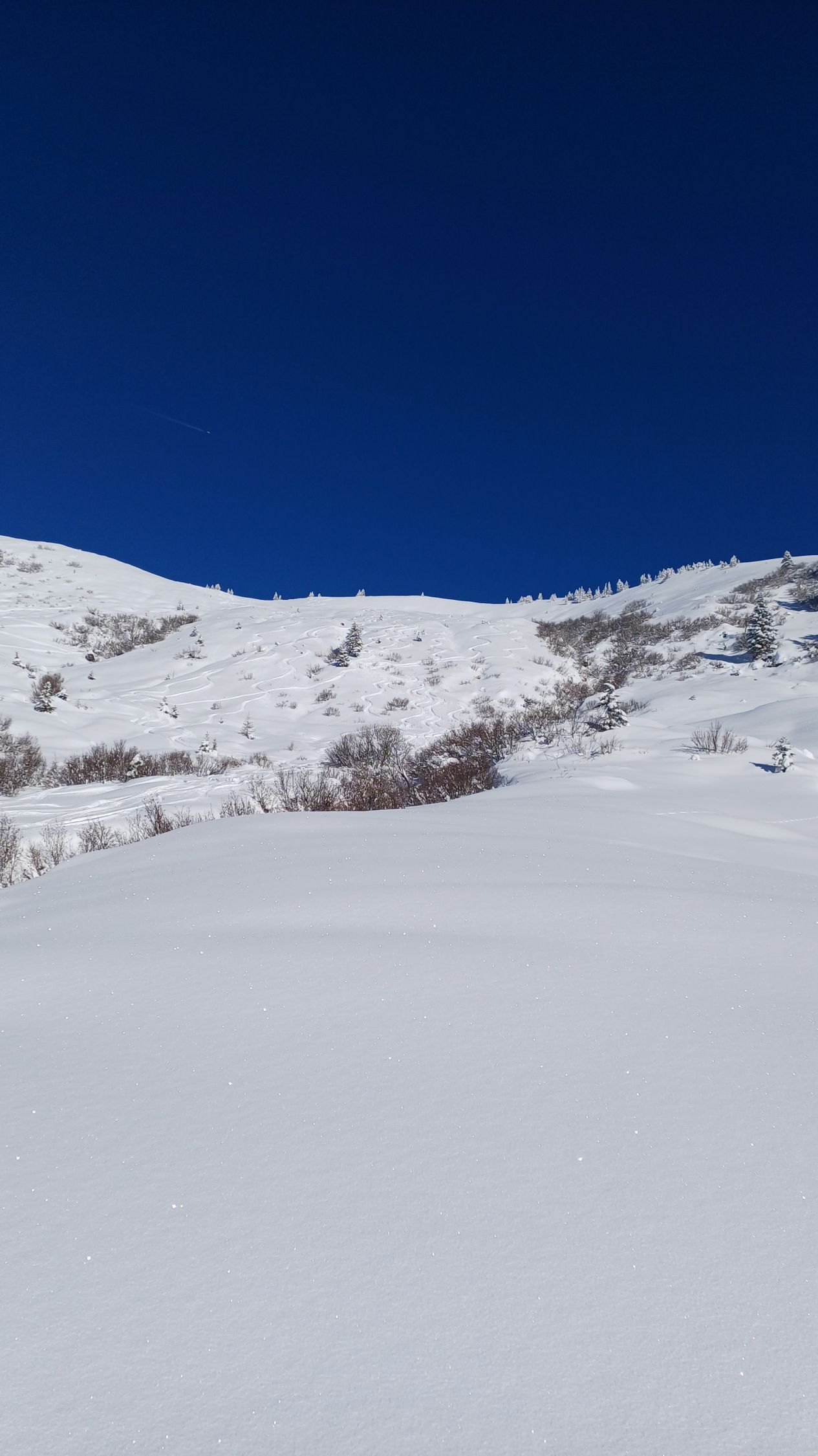 Gerenfalben (1938m): Aktuelle Verhältnisse vom 27.11.2025 auf der Route ...